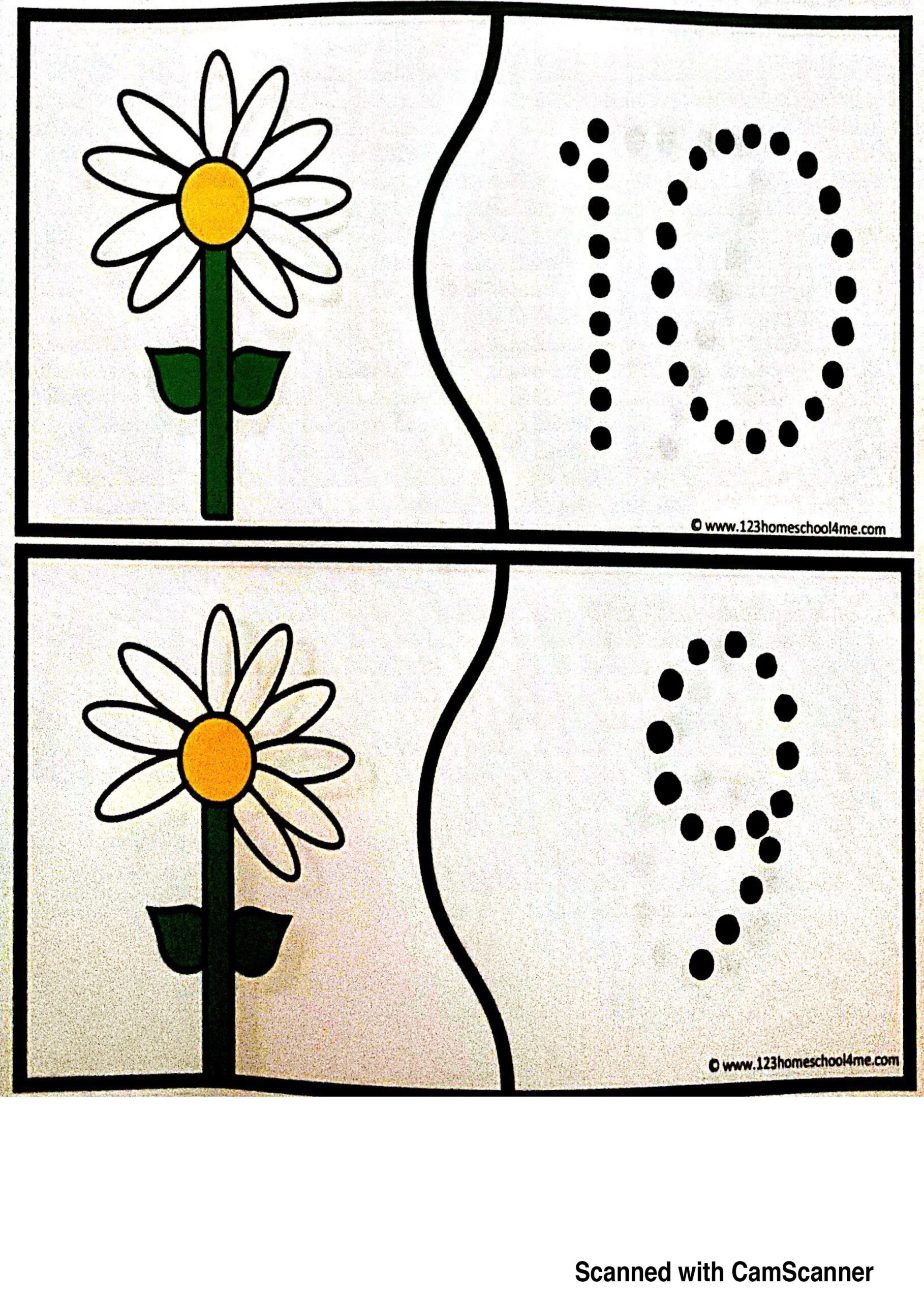 Flower Counting Activity - Ready Set Learn