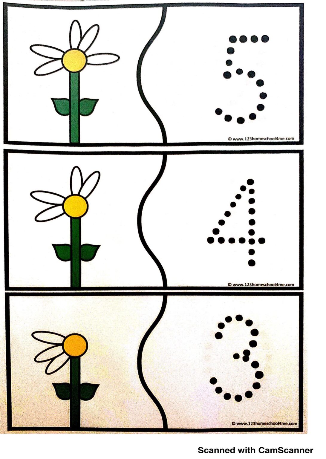 Flower Counting Activity - Ready Set Learn