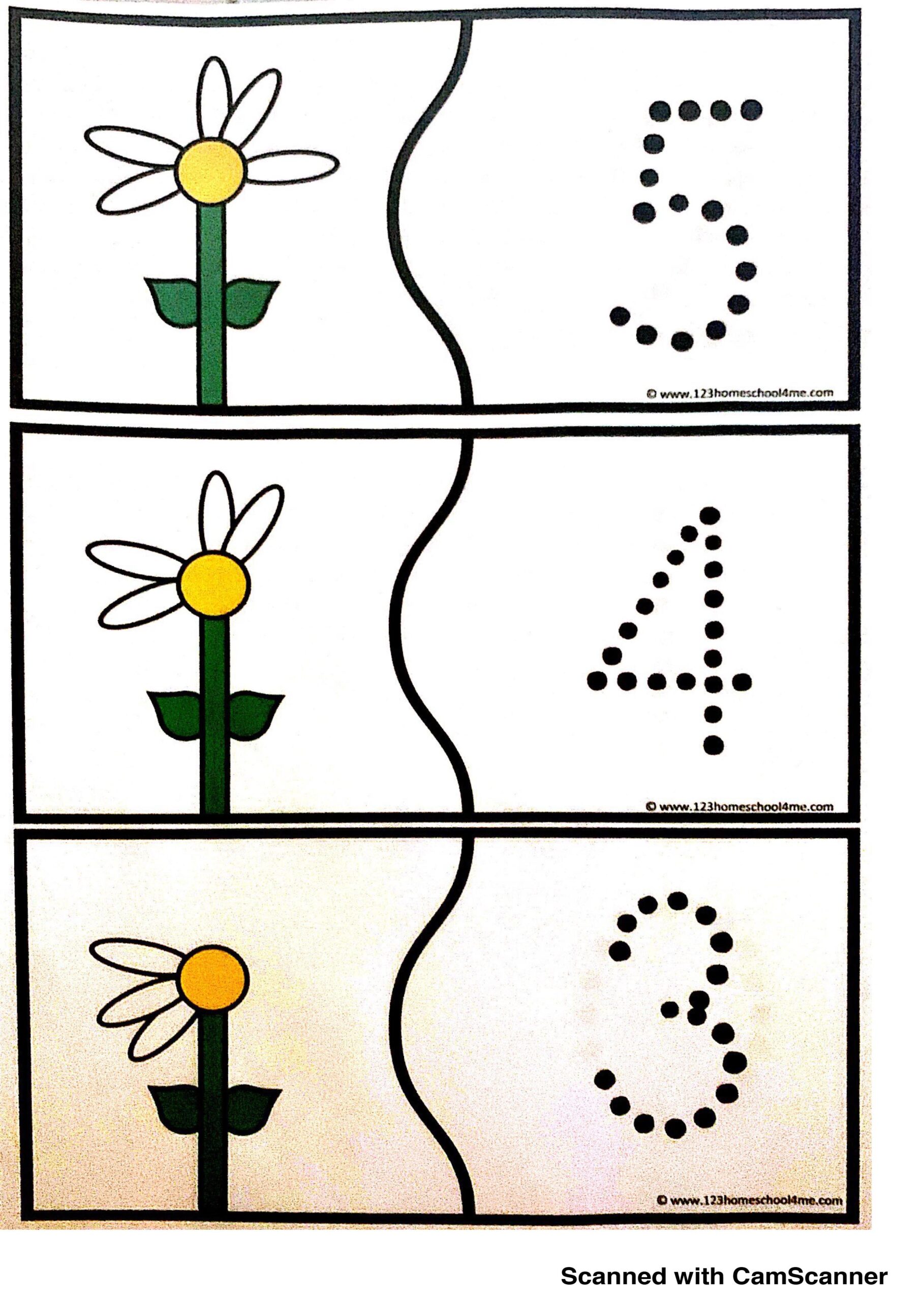 Flower Counting Activity - Ready Set Learn